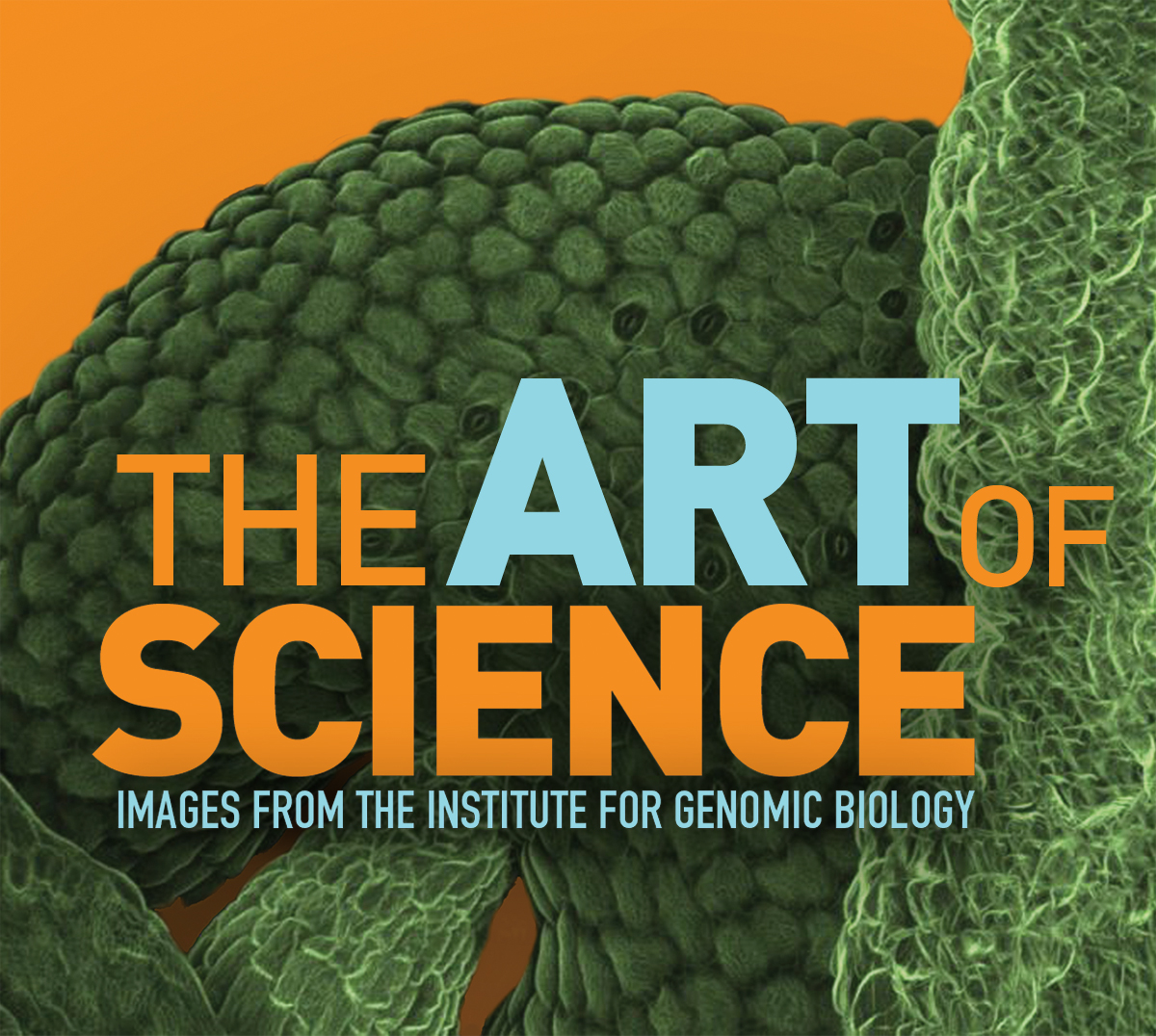 1000+ images about Art inspired by Science on Pinterest