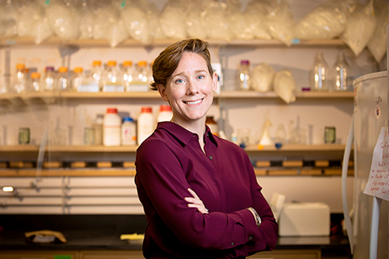 In survey, COVID-19 vaccine recipients report changes in menstrual ...