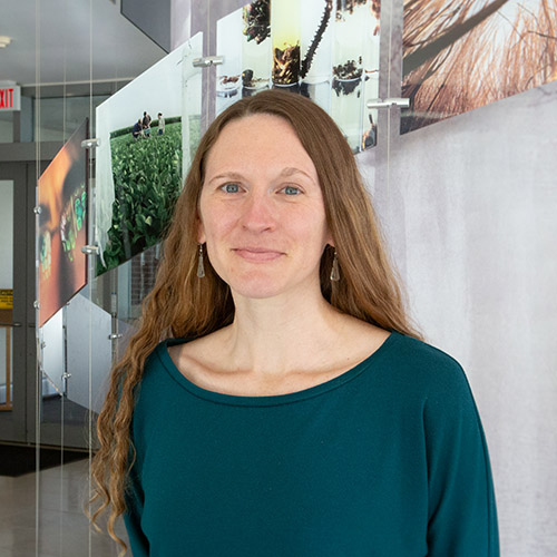 About CGD | Carl R. Woese Institute for Genomic Biology