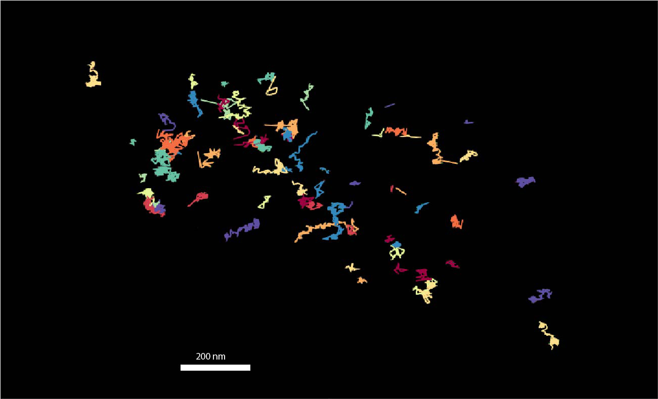 Early Minflux Results | Carl R. Woese Institute for Genomic Biology