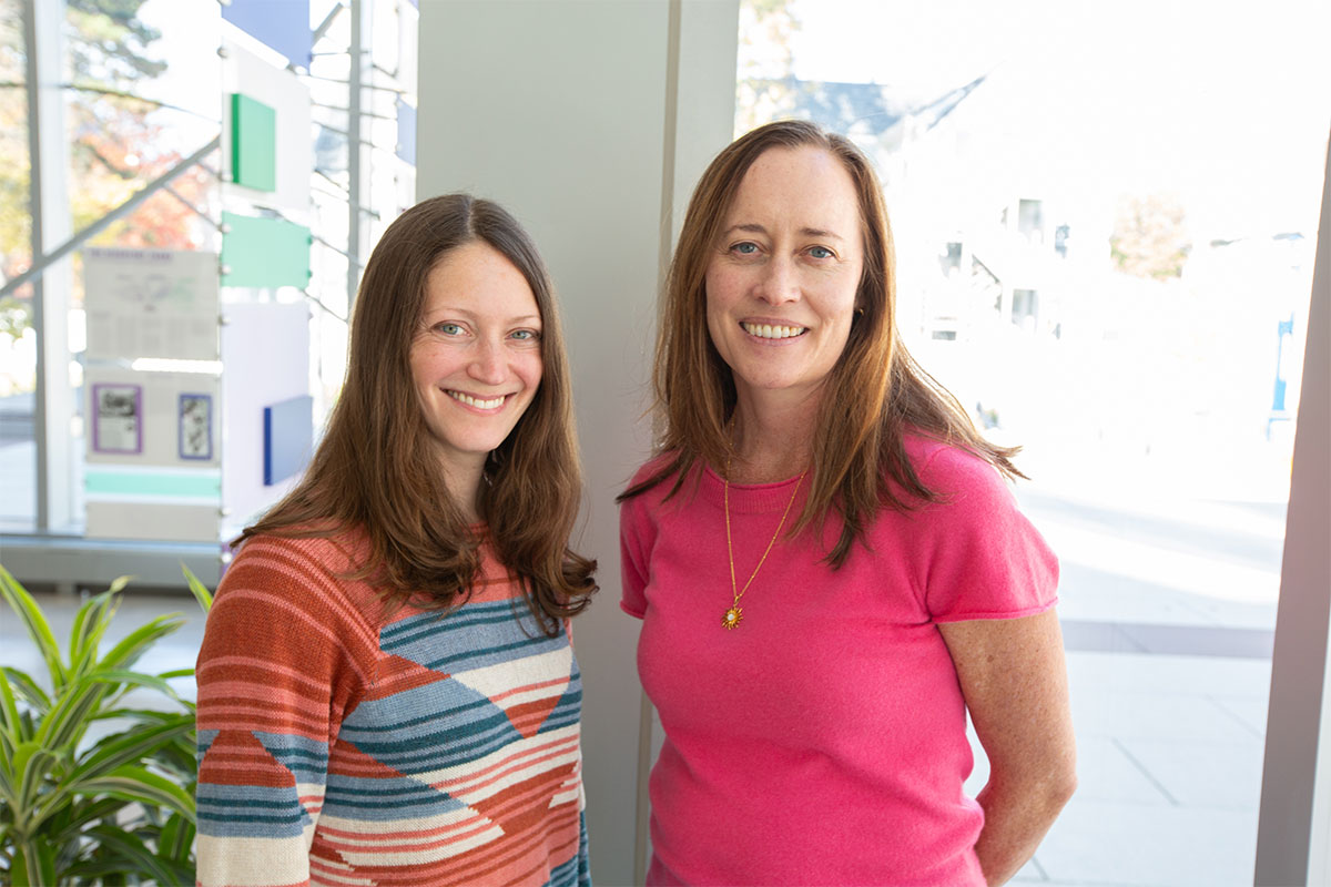 Fish brains may provide insight into the molecular basis of decision ...