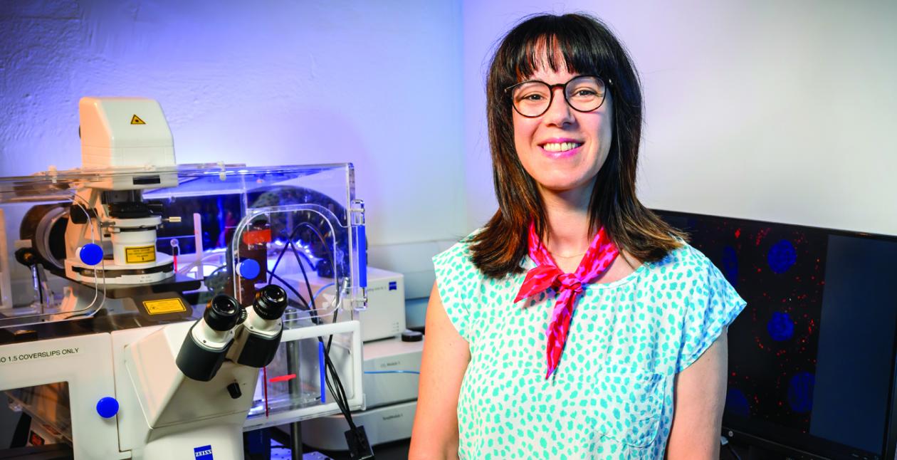 Team awarded $2M to develop new separation membranes inspired by ...